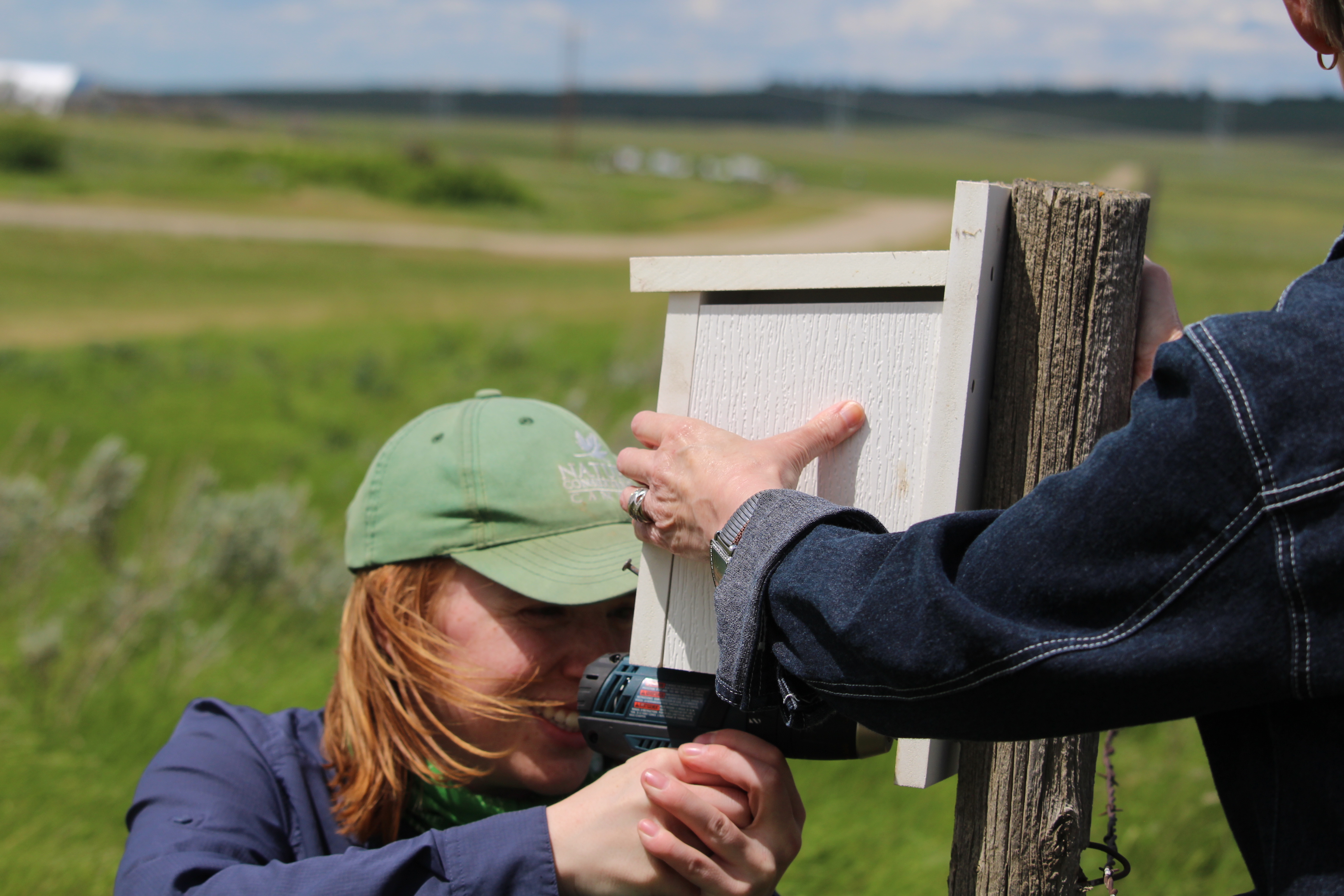NCC leads tour through Cave Pasture conservation project ...