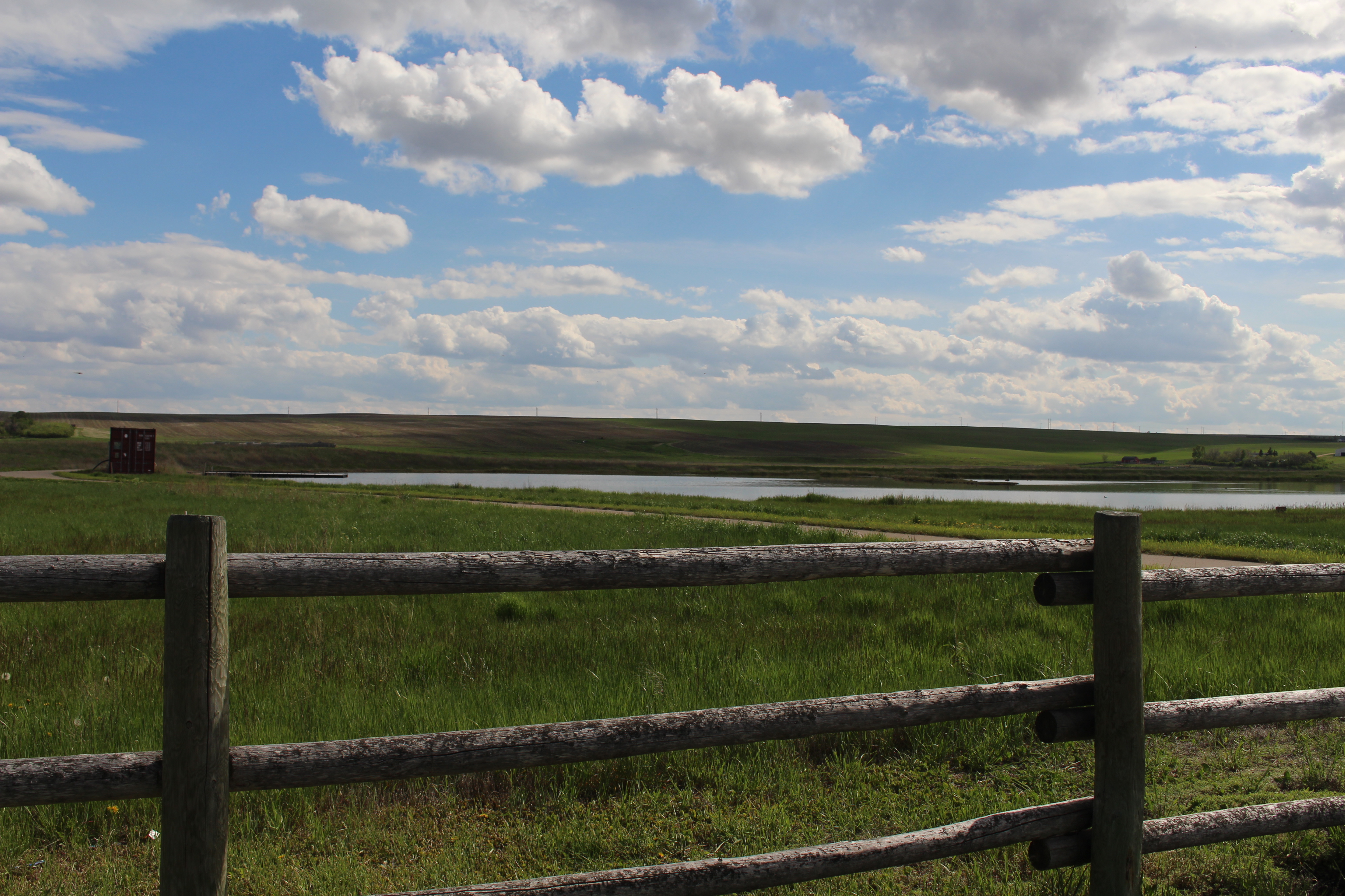 Native prairie research webinar to reach southwest - SwiftCurrentOnline ...