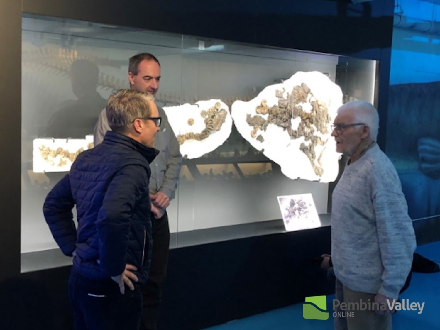 Canadian Fossil Discovery Centre undertaking new dig site in 2024 ...