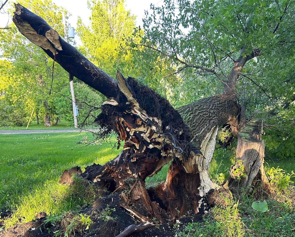 'We are truly feeling the hand of God's protection,' says Darlingford ...