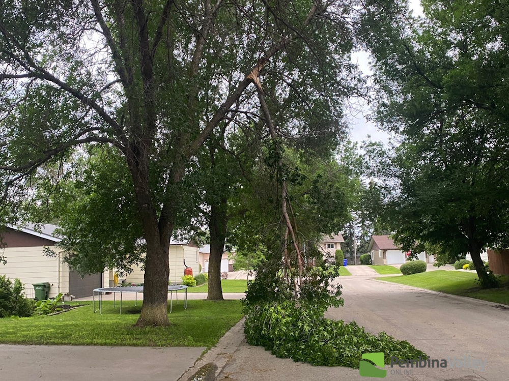 "We did have one tree fail at the base, which is a little bit scary ...