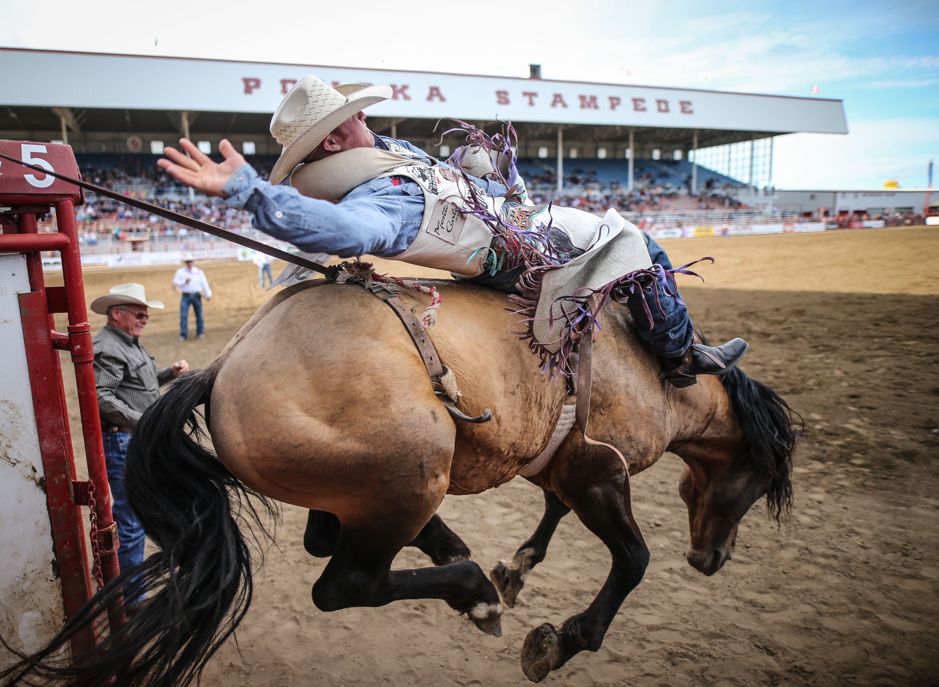 Ponoka Stampede kicks off today - CentralAlbertaOnline.com - Local news ...