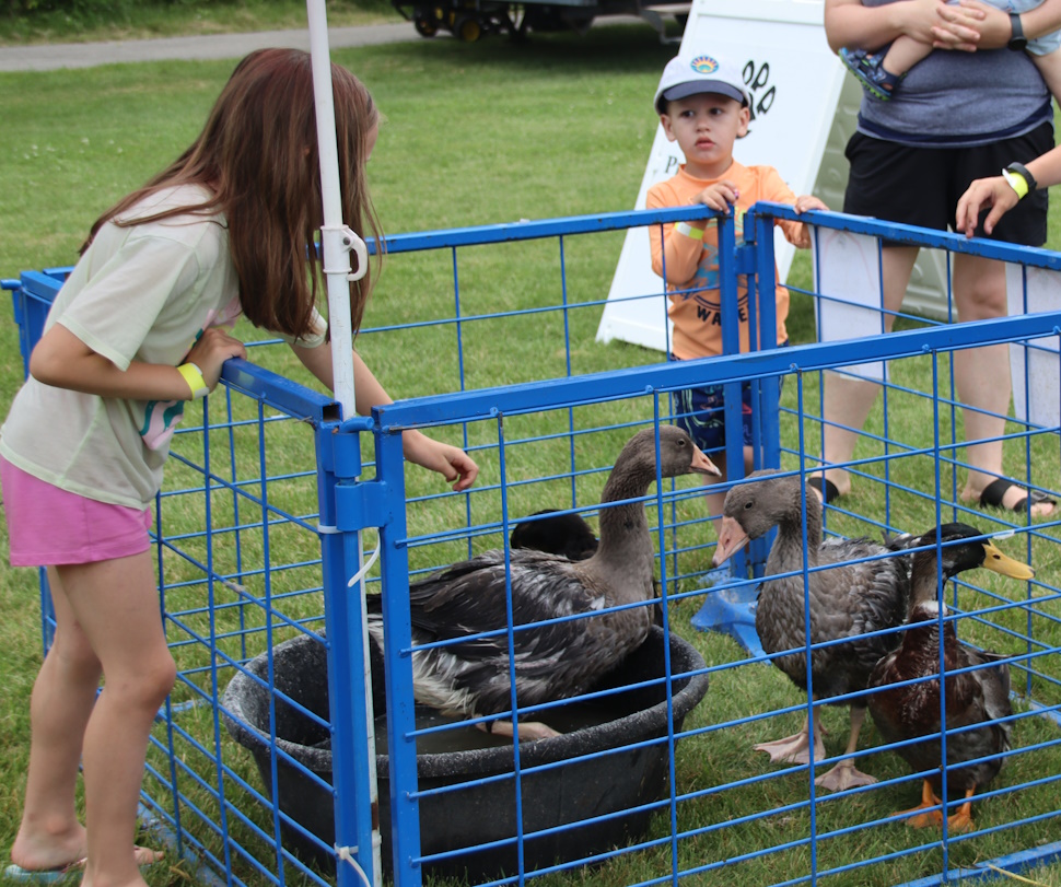 Family fun in Buffalo Point: Buffalo Days in photos - SteinbachOnline ...