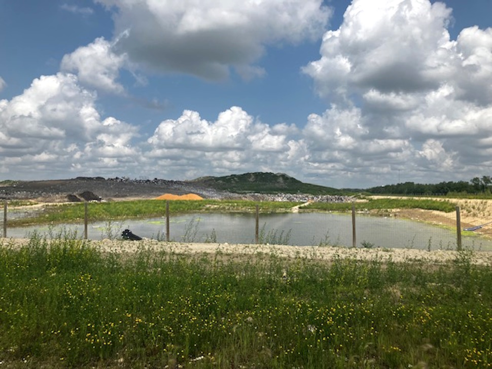 “In the 20 years I've been there, it's the worst we've ever seen ...