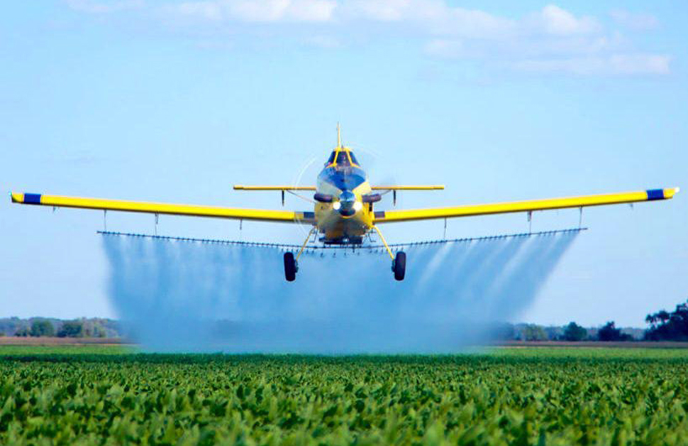 Many crops look 'surprisingly good', considering wet conditions ...