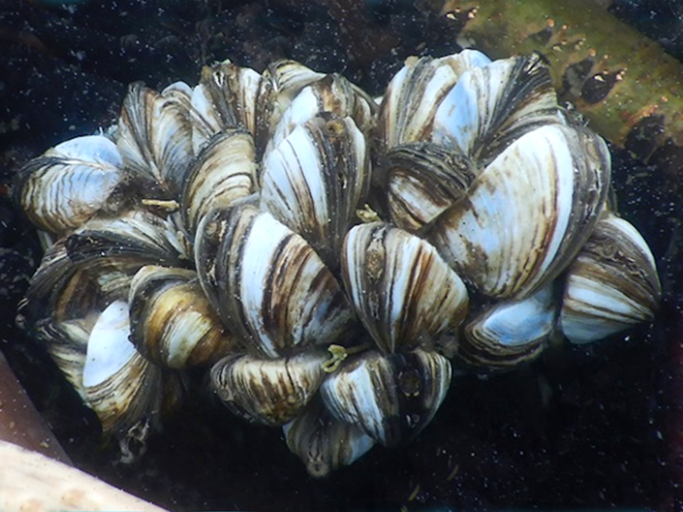 It's time to get engaged - to learn about and slow down - the spread of ...