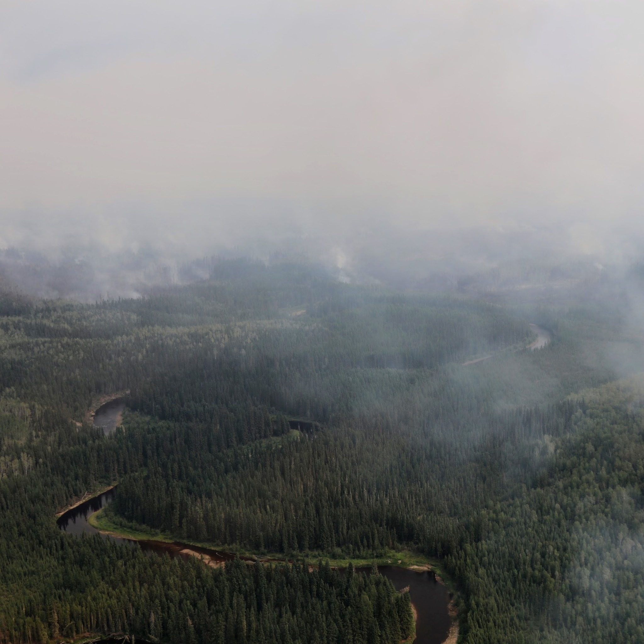 A local state of emergency declared due to out-of-control wildfire ...