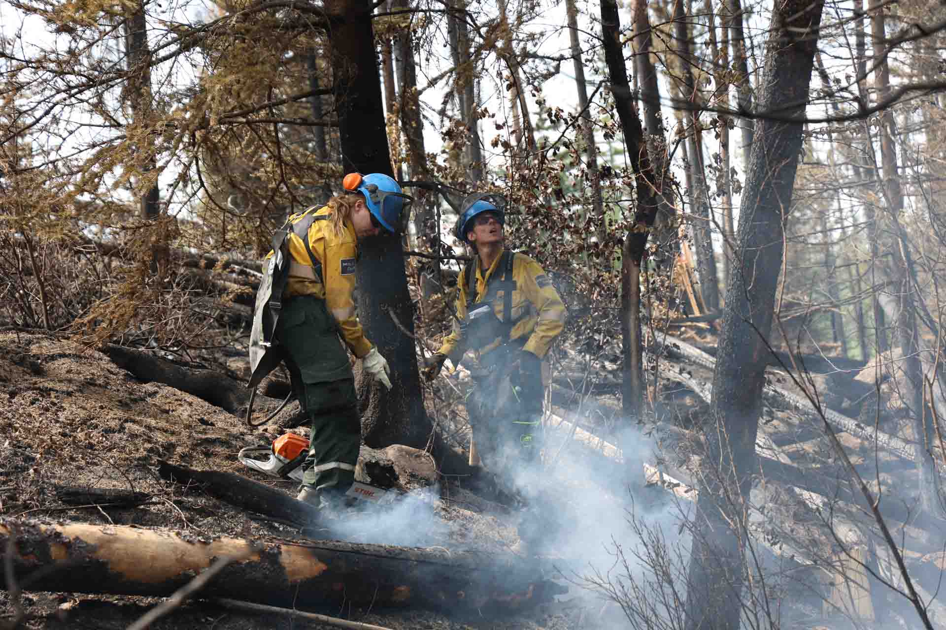 Jasper evacuees anxious to return as Jasper wildfire persists ...