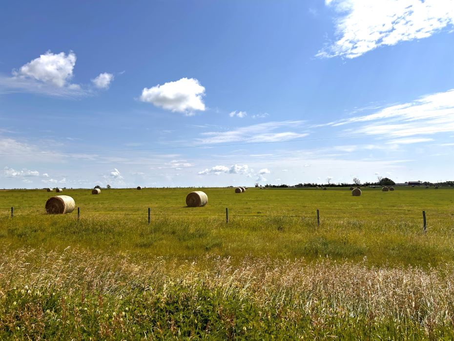Warm weather boosts hay harvest near Weyburn - DiscoverWeyburn.com ...