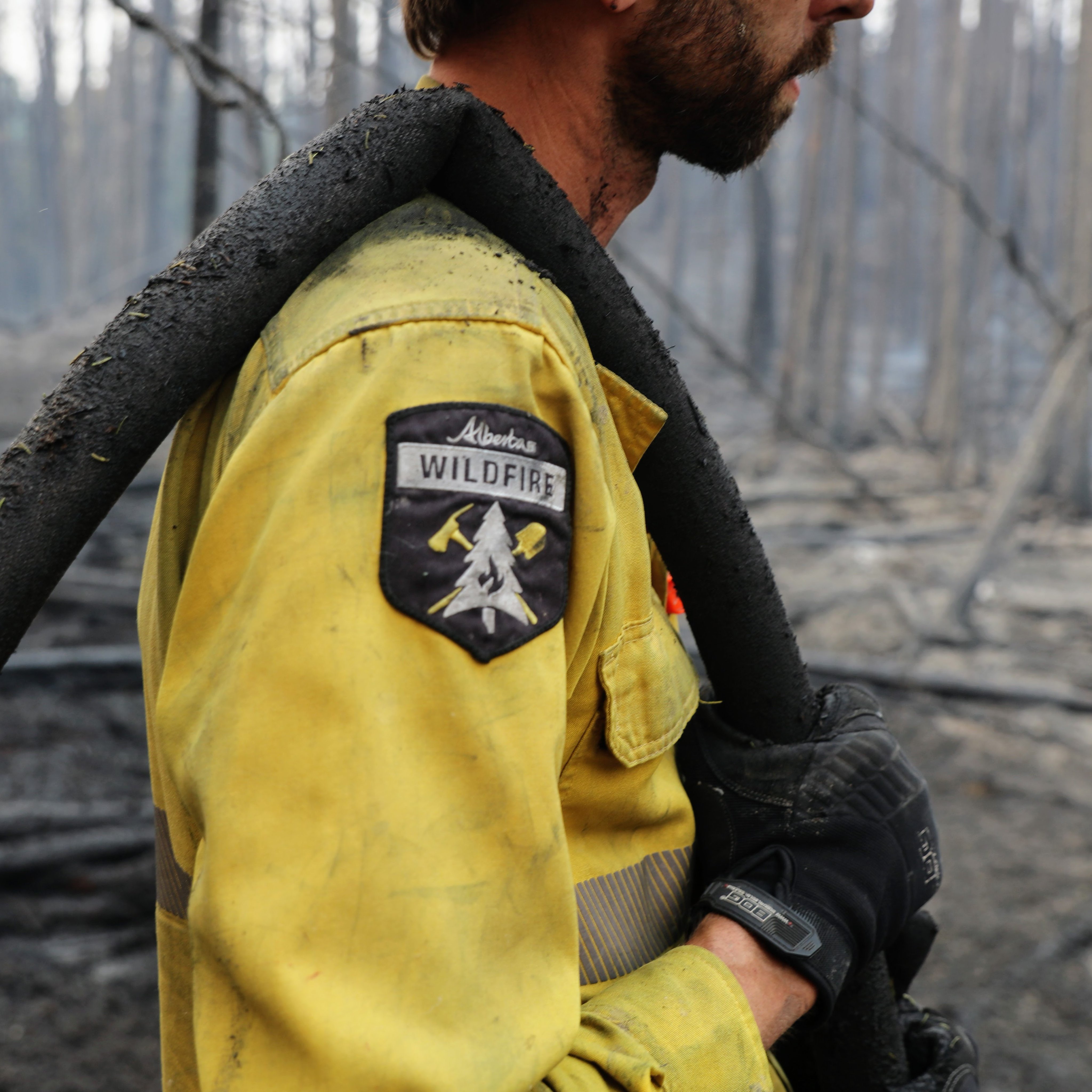 Province on wildfire situation: Firefighters gain ground with the help ...