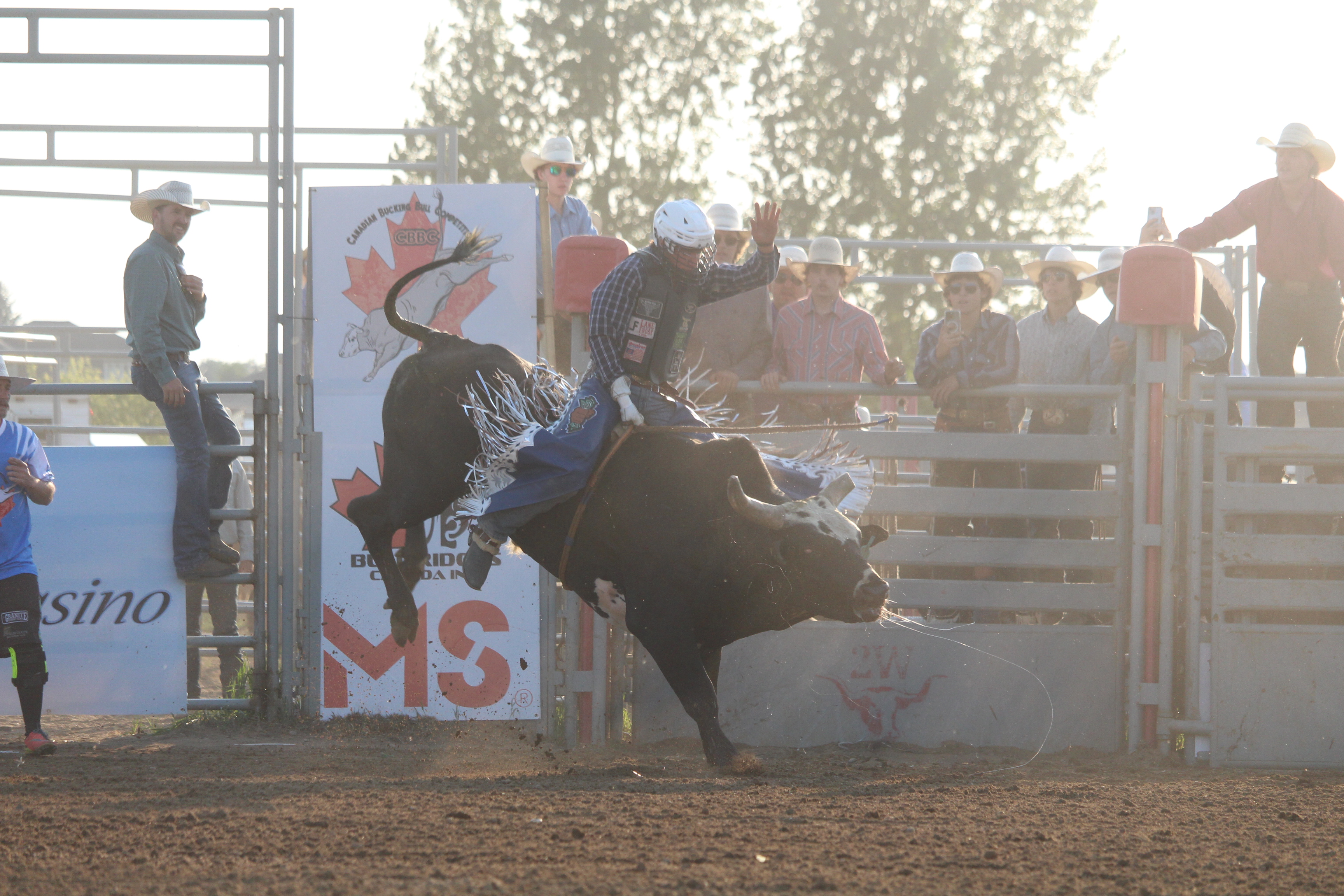 Bucking MS in Speedy Creek raises funds and awareness the western way ...