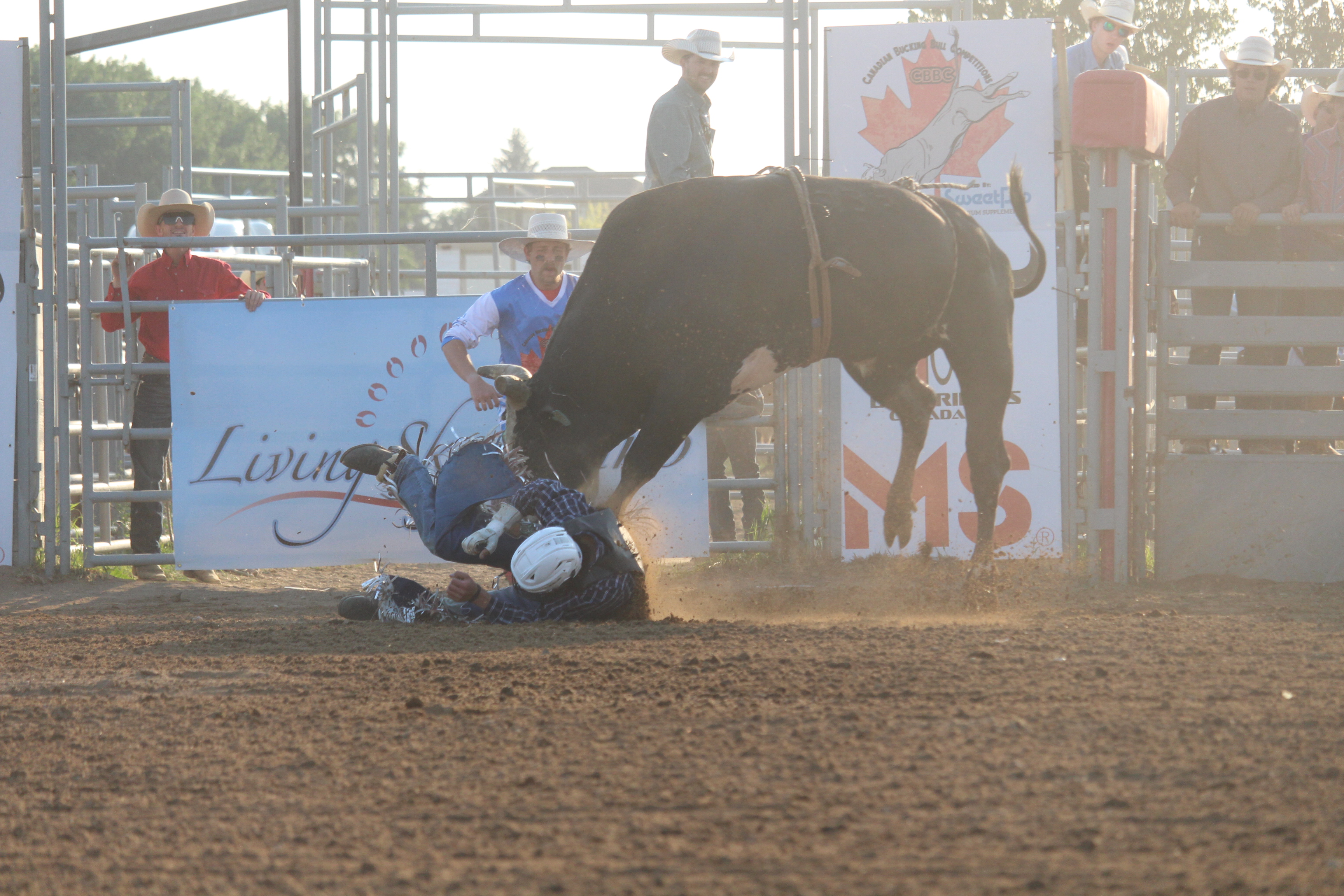 Bucking MS in Speedy Creek raises funds and awareness the western way ...