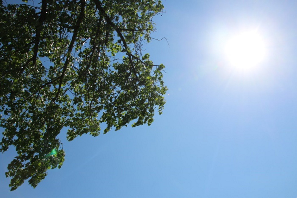 Temperature to rise as southeast falls into hot, humid weather pattern ...