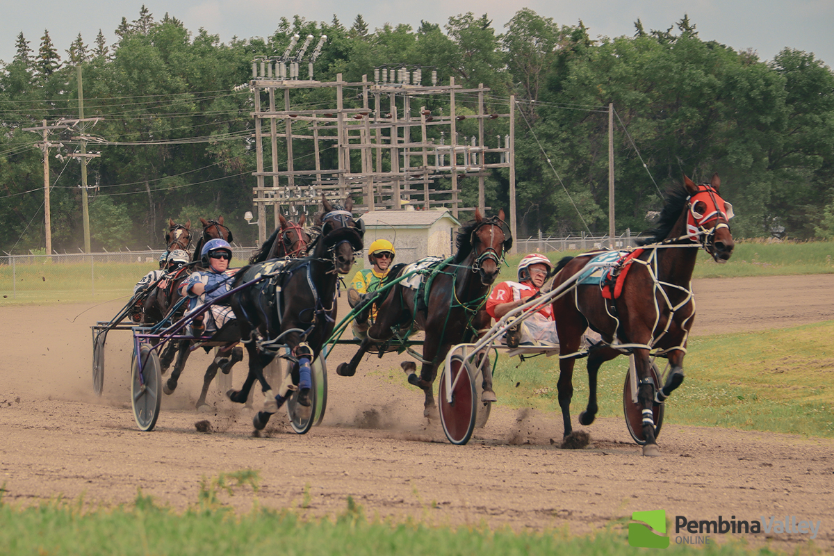 From One Weekend to the Next: Miami’s Harness Racing ...