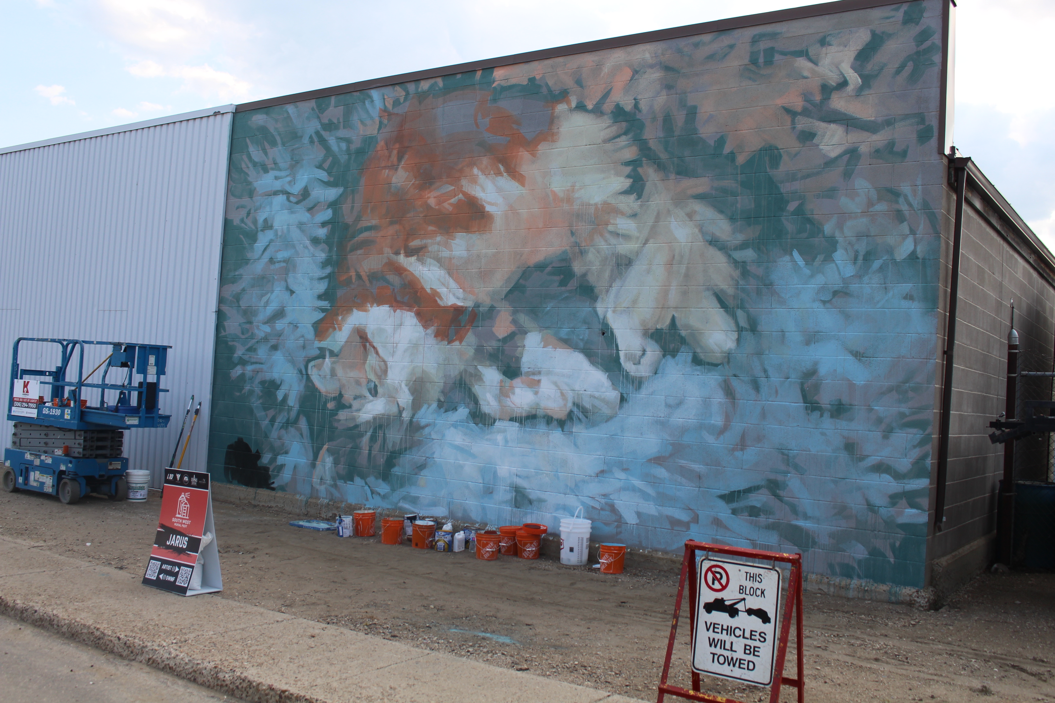 Southwest Town transforms with sensational murals & stunning colours ...