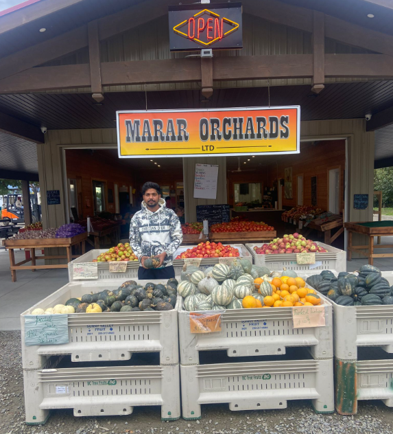 Fresh Produce Now Available At Cochrane Fruit Stand - CochraneNow ...