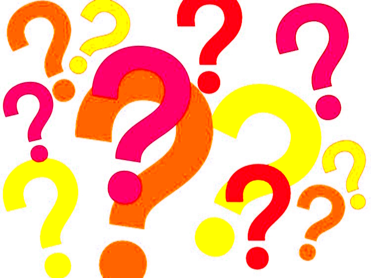 Wrinkly Brain Trivia - Aug. 23, 2024 - WestCentralOnline: West Central ...