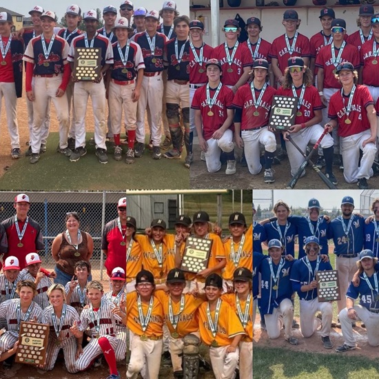 Five Baseball Sask banners come home to west-central ...