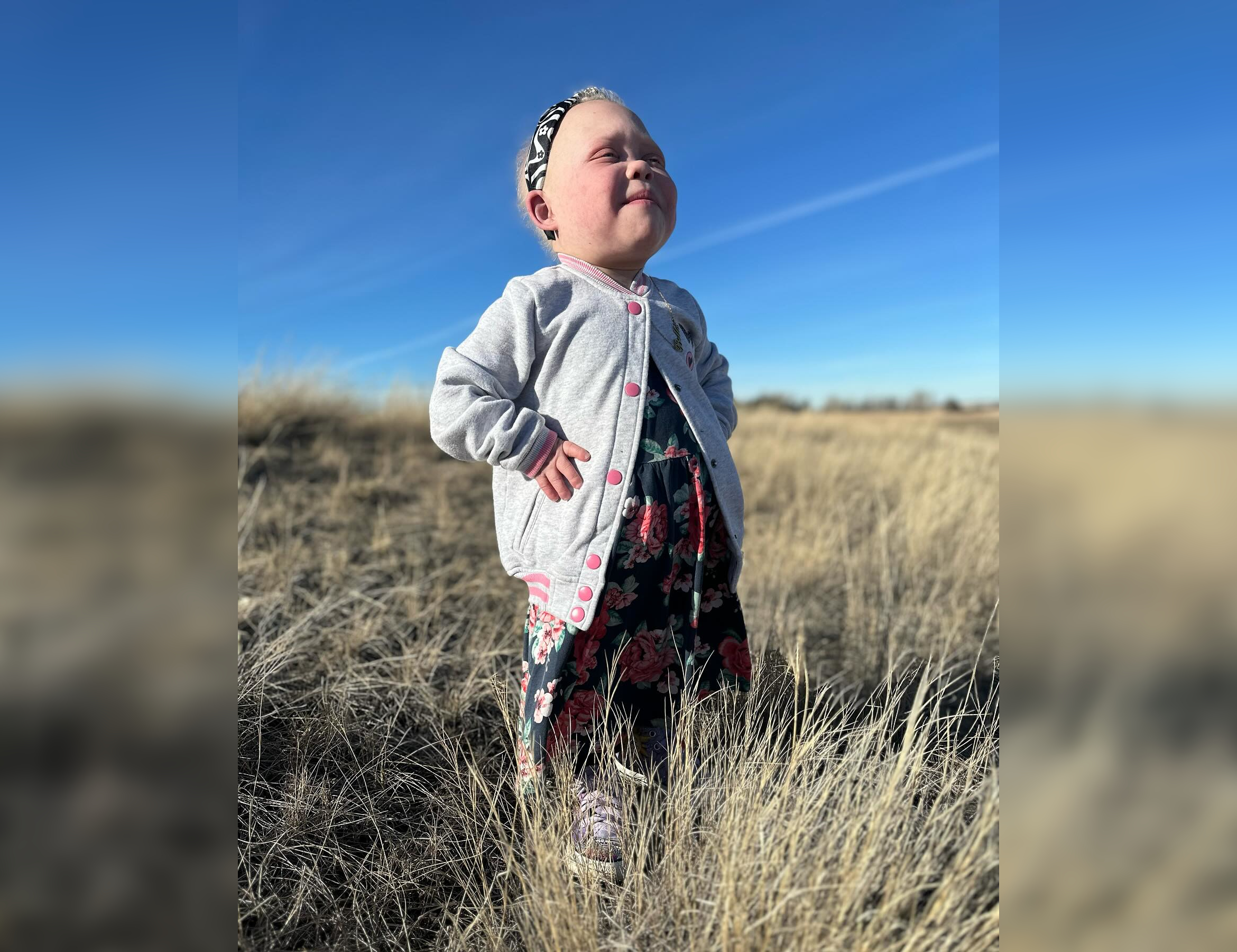 Celebration and memorial being held today for Bella Brave ...