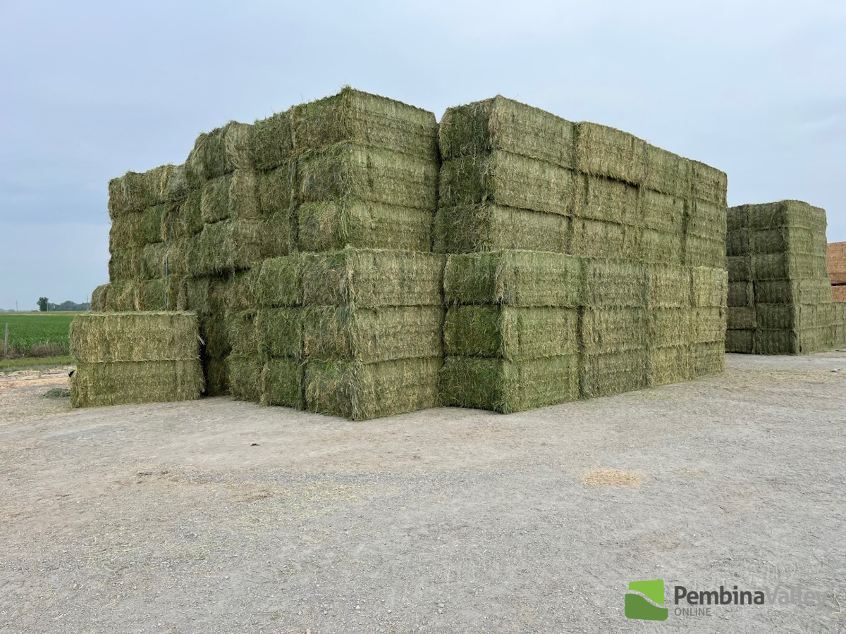 Local hay harvester hopes weather co-operates for higher quality second ...
