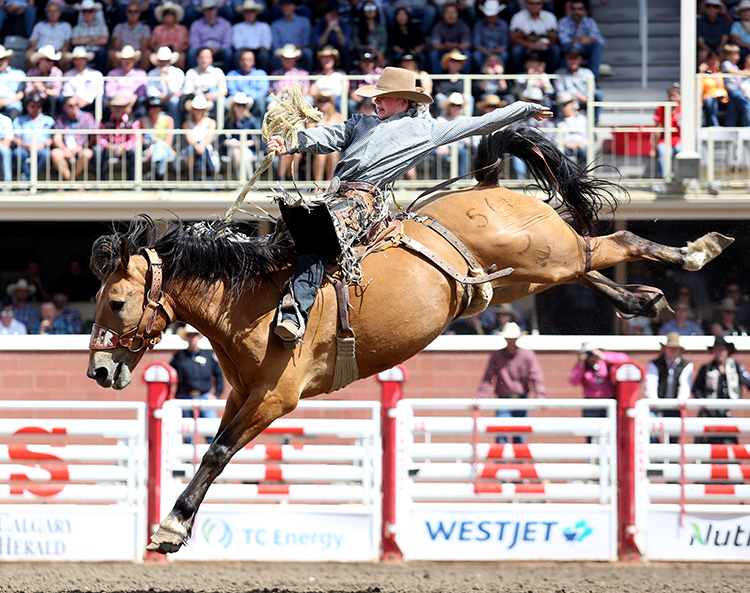 We could see 6 Saddle Bronc Albertans compete on Championship Sunday ...
