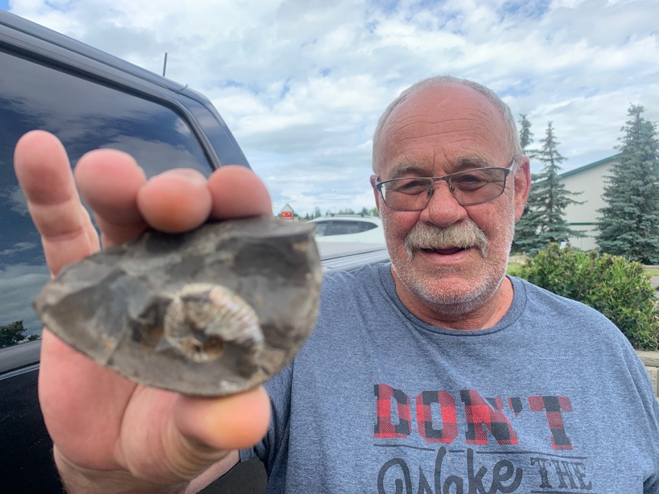 Frobisher man finds 66 million year old fossil during yard project ...