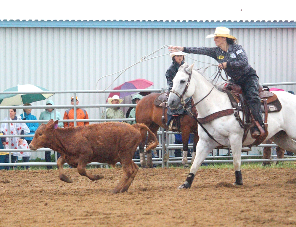 Five locals win Frontier Days rodeo - SwiftCurrentOnline.com - Local ...
