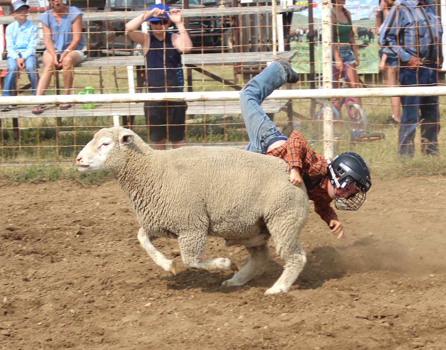 67th Hallonquist Rodeo kicks up dust & good times - SwiftCurrentOnline ...