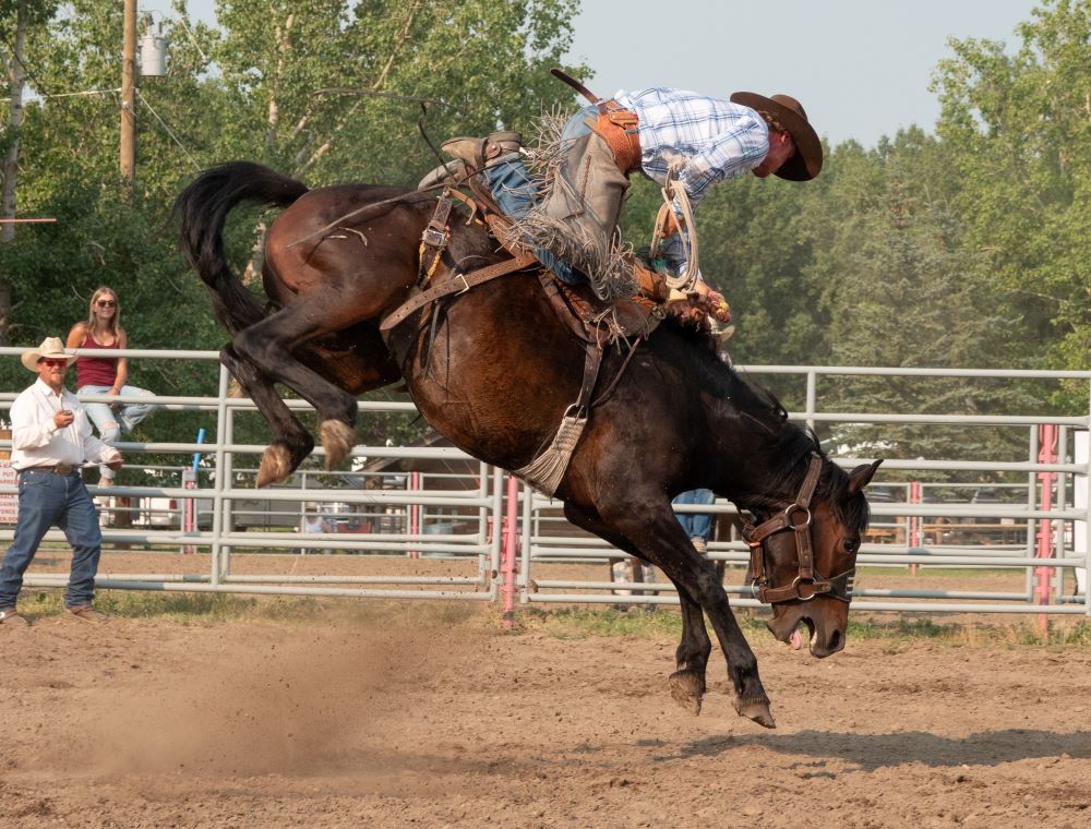 Gallery: Music and more at the Nanton Ranch Rodeo - OkotoksOnline.com ...