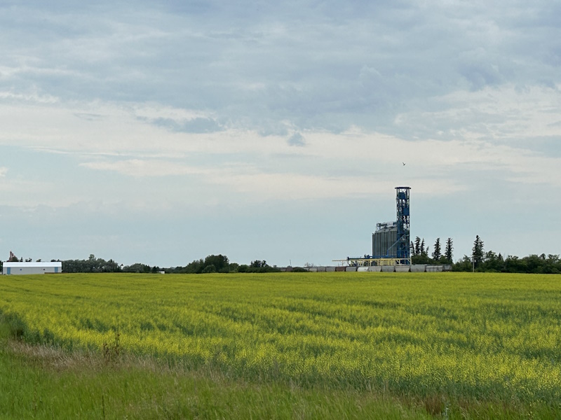 Crops playing catchup with warm weather in Sask Ag's crop report ...