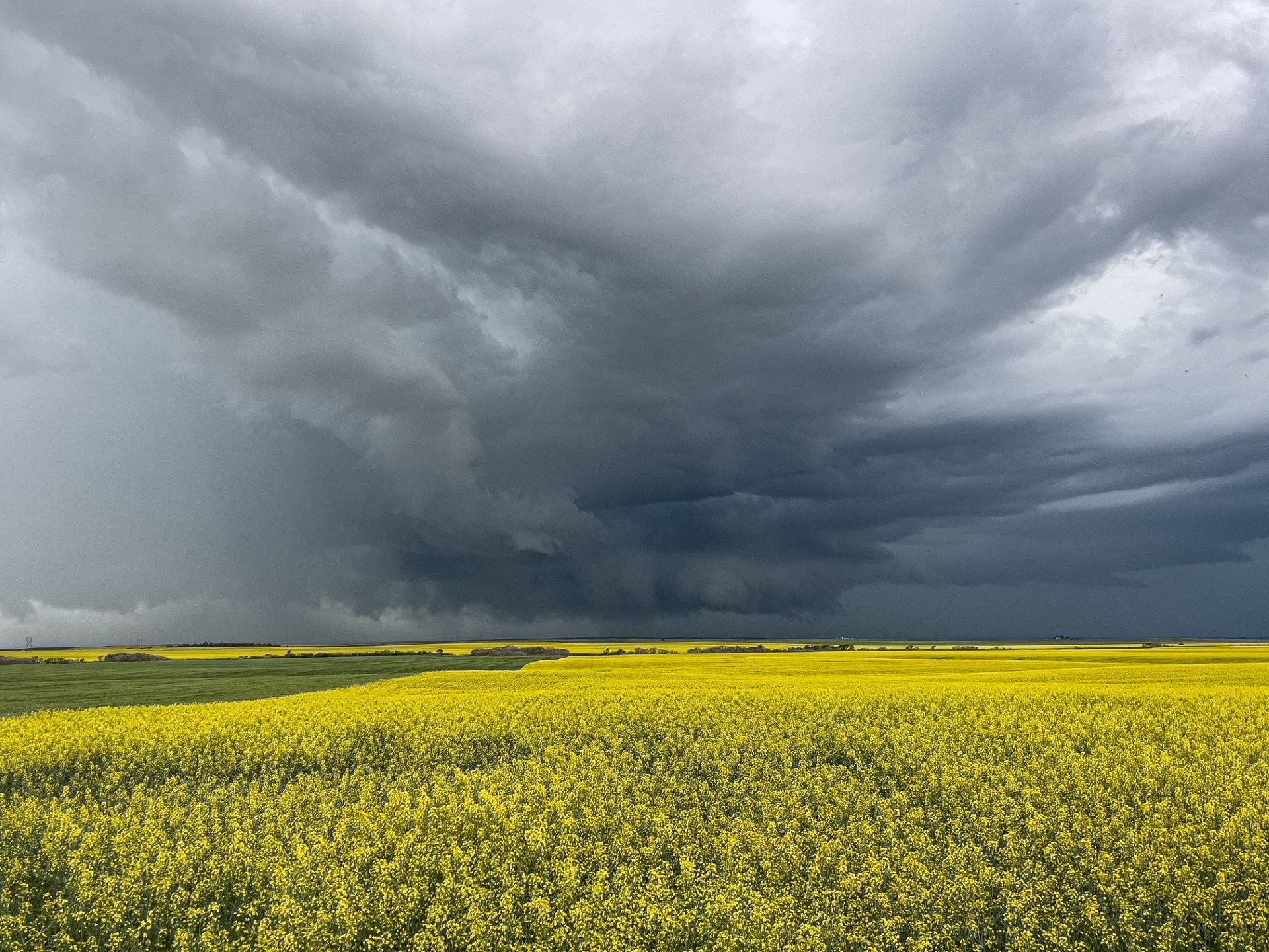Southeast area issued severe thunderstorm watch - DiscoverEstevan.com ...