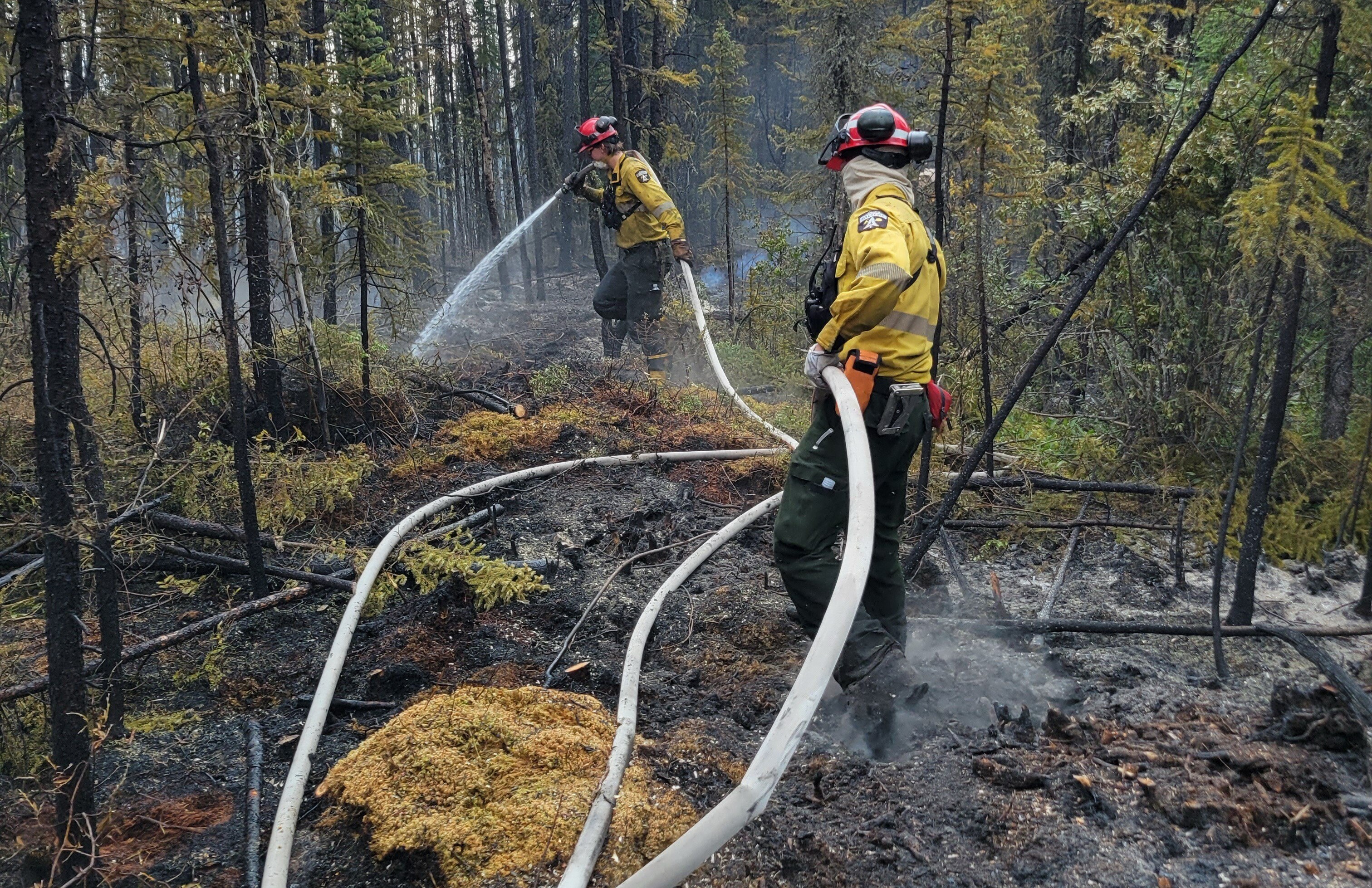 Positive news coming from Fallentimber Wildfire - CochraneNow: Cochrane ...