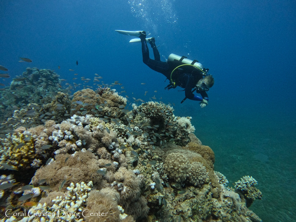 'It was an unbelievable experience', Mitchell resident finds passion ...