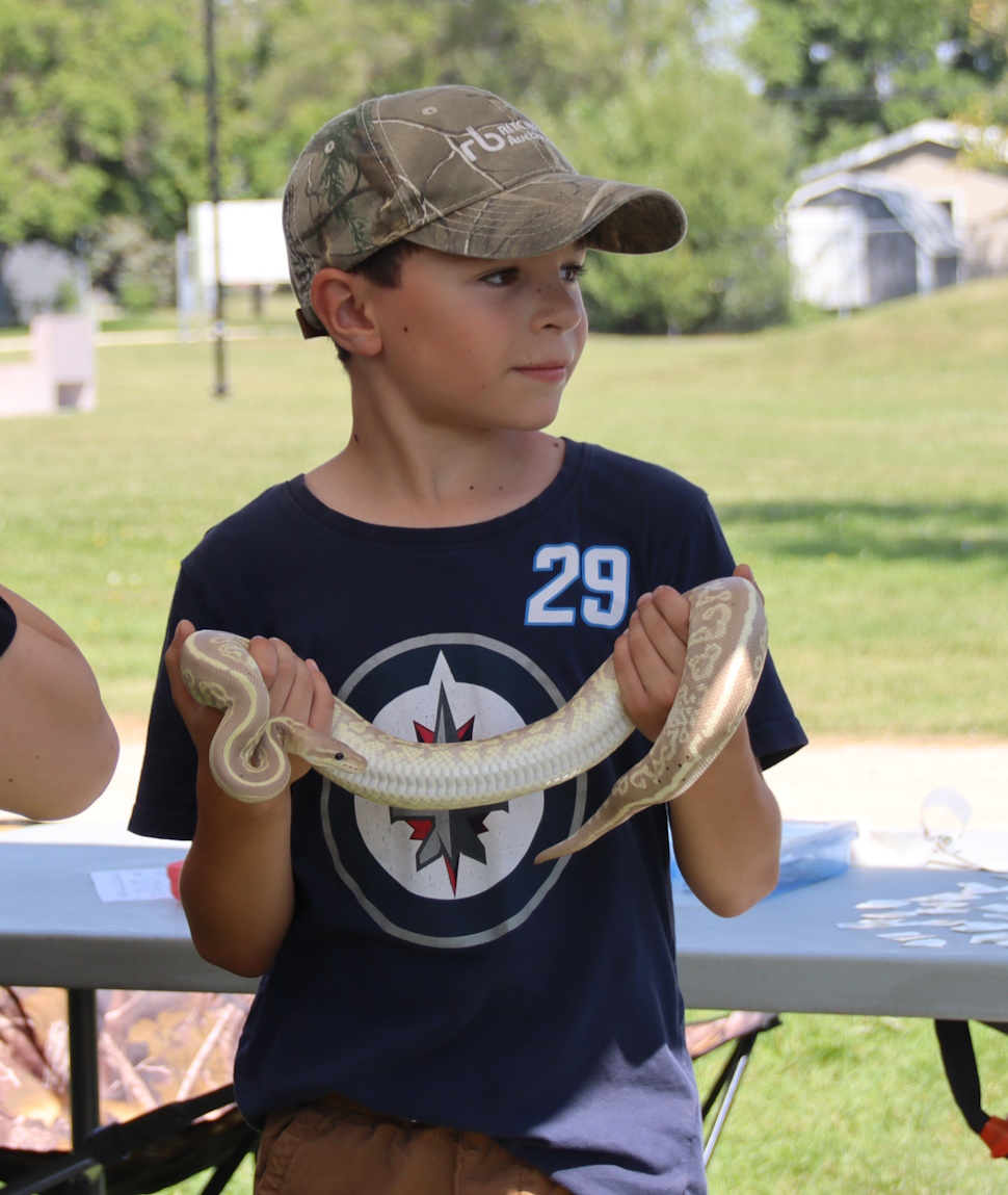 Frog Jumping Championships at the 54th annual Frog Follies ...