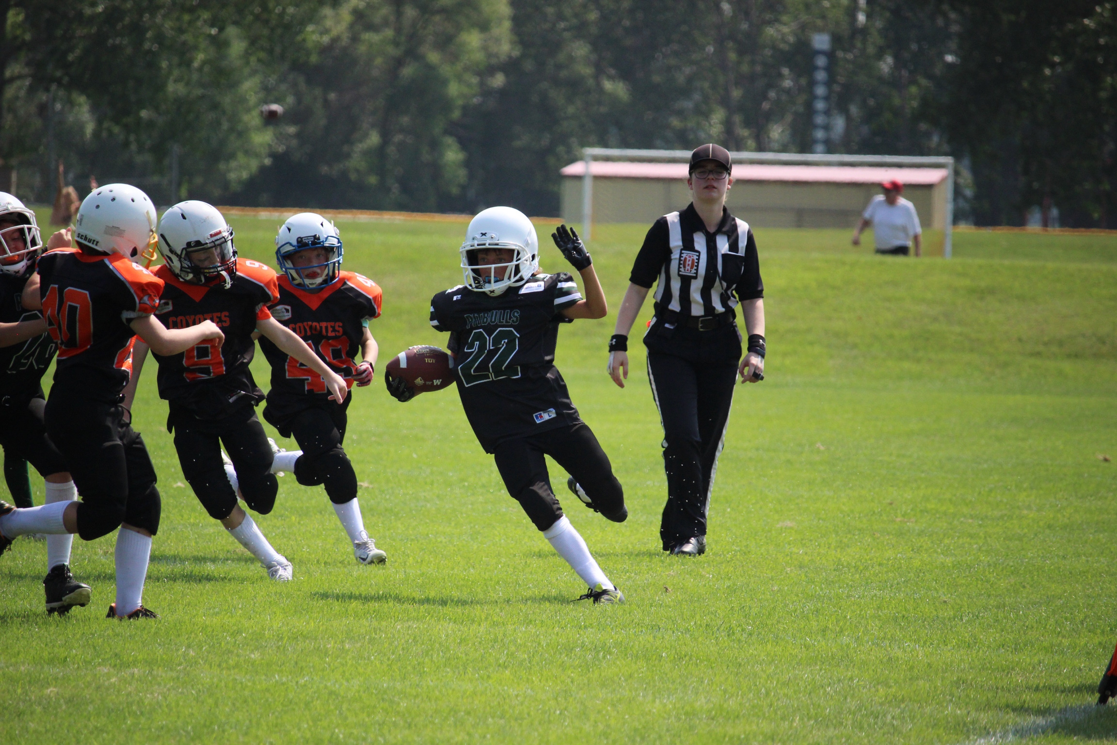 The Portage Pitbulls growing strong - PortageOnline.com - Local news ...