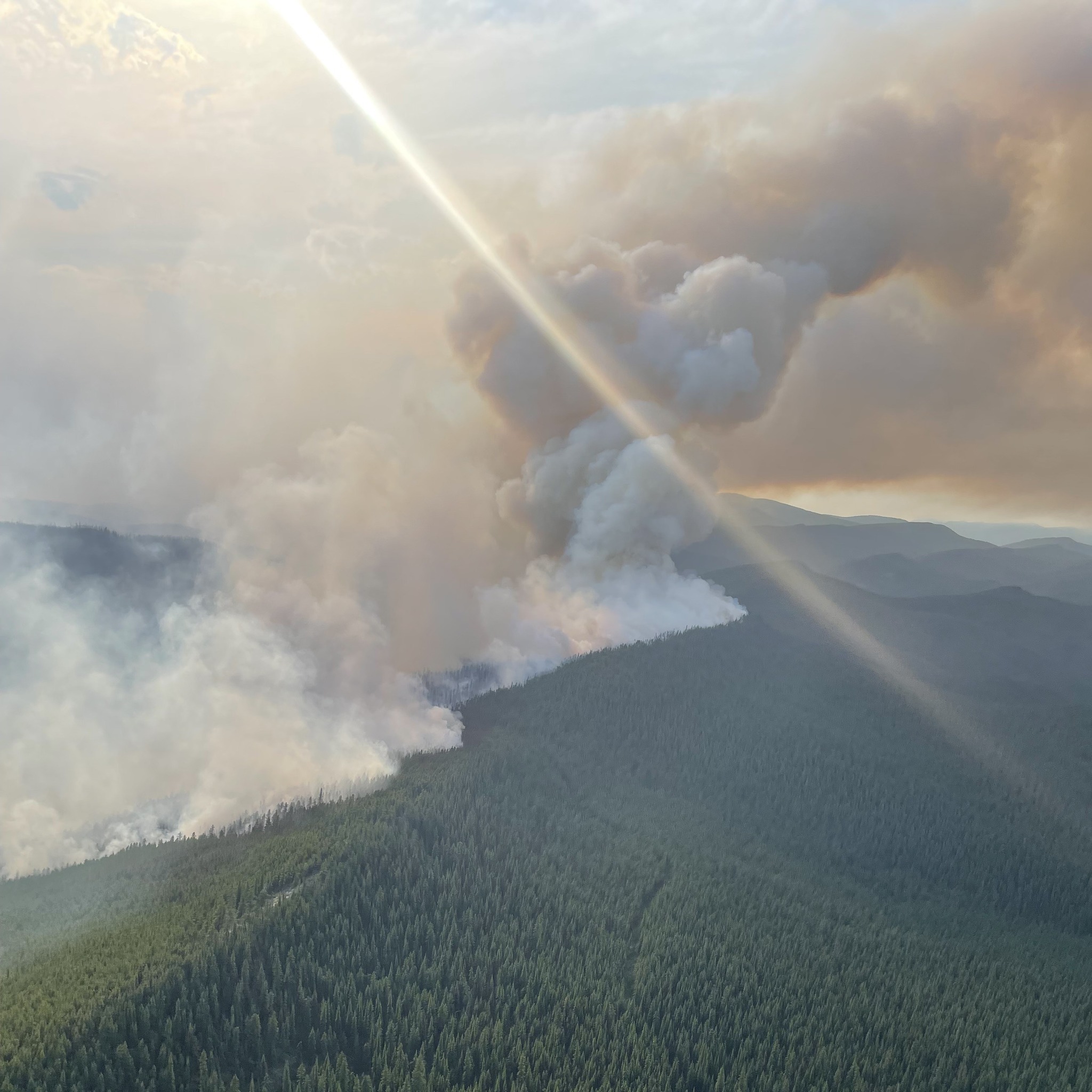 Wildfire crews continue taking action on fires in Rocky Forest Area ...