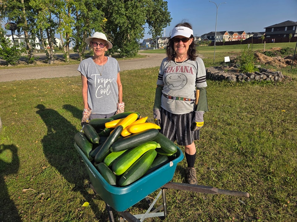 Airdrie Urban Farm Collective donating food to Airdrie Food Bank ...