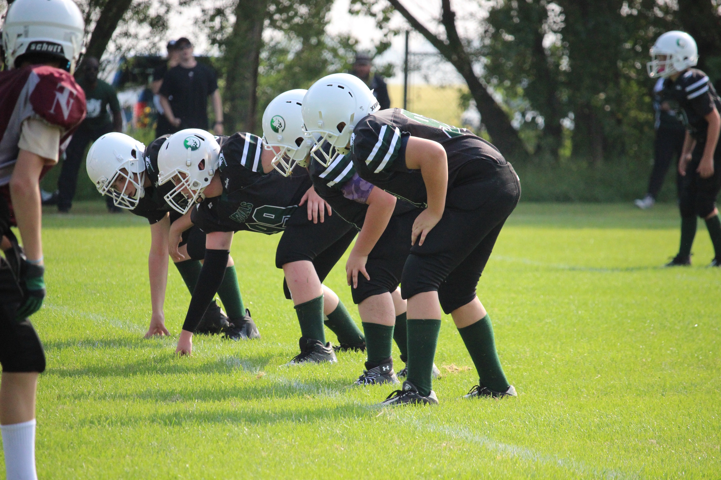 The Portage Pitbulls growing strong - PortageOnline.com - Local news ...