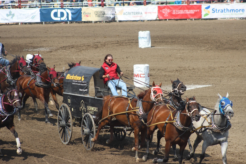 Chanse Vigen crowned chuckwagon champion at 2024 Strathmore Stampede ...