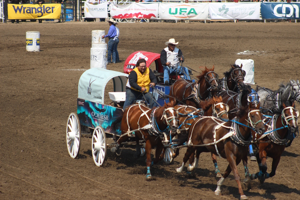 Chanse Vigen crowned chuckwagon champion at 2024 Strathmore Stampede ...