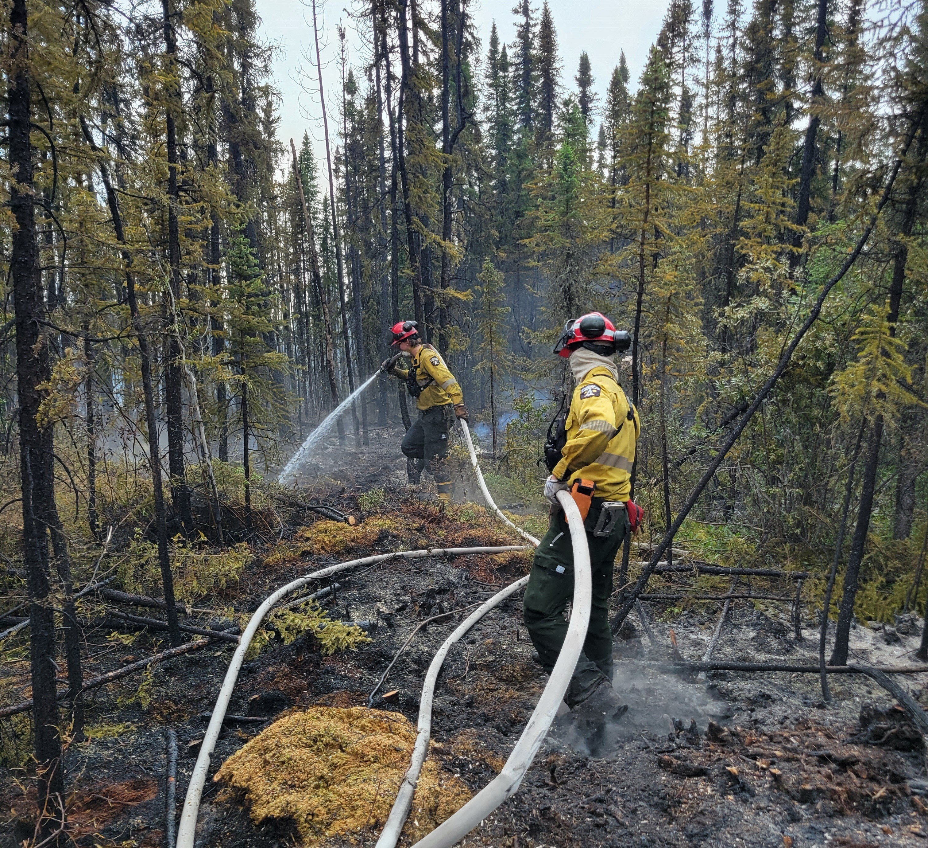 Wildfire risk extreme in Southern Alberta ahead of long weekend ...