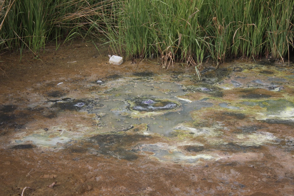 Blue-green algae advisory issued for Eagle Lake - StrathmoreNow.com ...