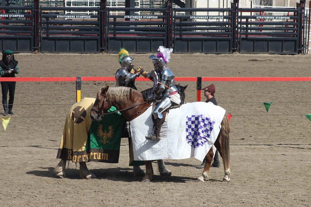 Gallery: A magical weekend at the Strathmore Medieval Faire & Artisan ...