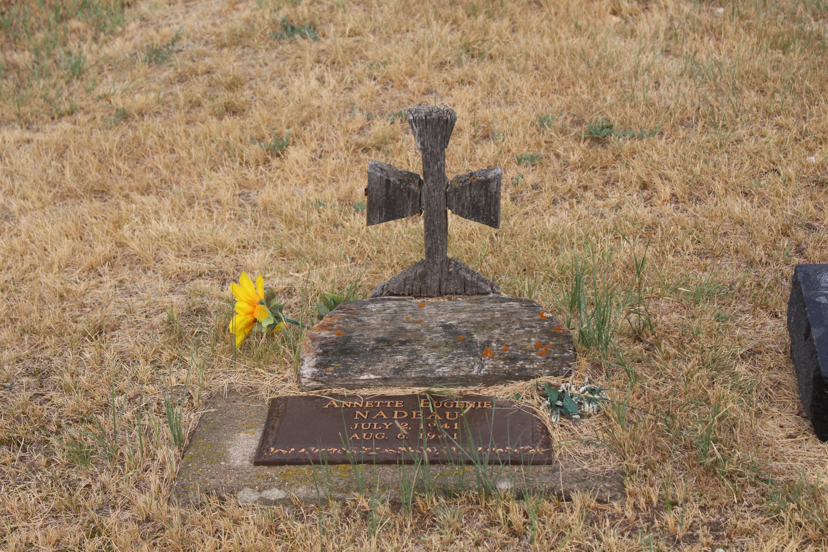 Museum's cemetery tours finish after another 'historic' season ...