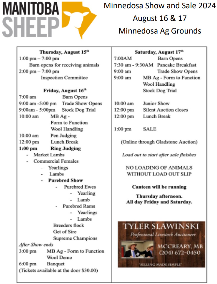 Celebrate Excellence: Manitoba's Best at Weekend Sheep Show ...