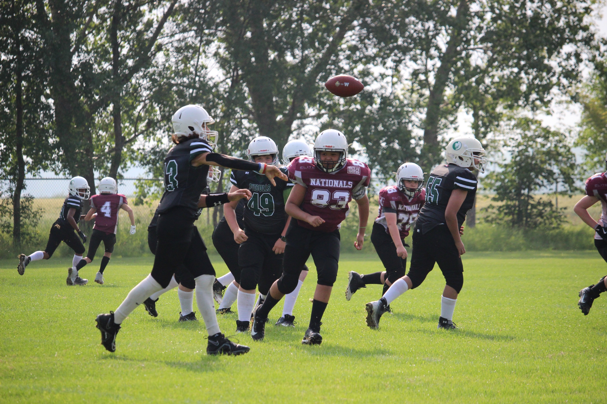 The Portage Pitbulls growing strong - PortageOnline.com - Local news ...