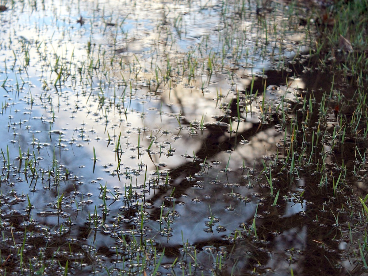 May and spring numbers show Estevan dodged drier season thanks to heavy ...