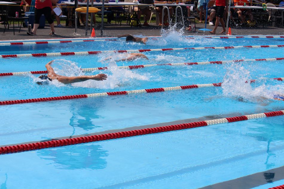 Stingrays swim to medals at provincials - SwiftCurrentOnline.com ...