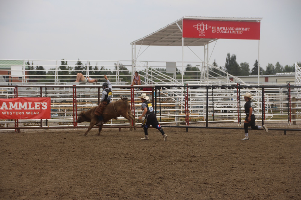 Strathmore’s Rodeo School testing the mettle of competitors ...