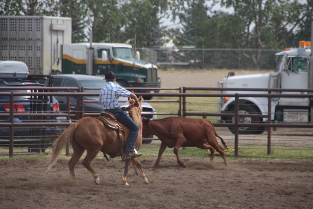 Strathmore’s Rodeo School testing the mettle of competitors ...